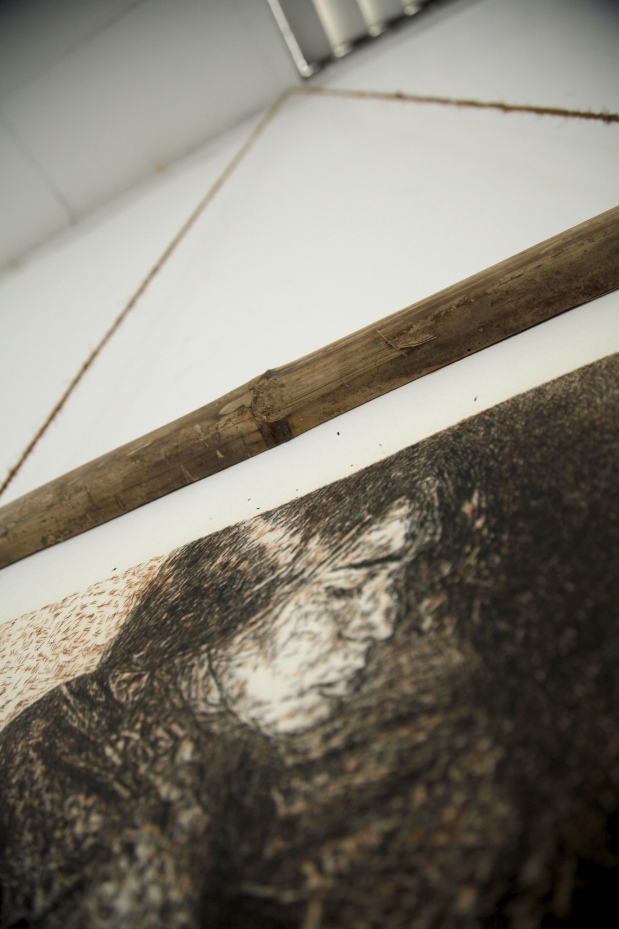 ART IS FOR TRANSFORMATION | LEVEKUNST art of life